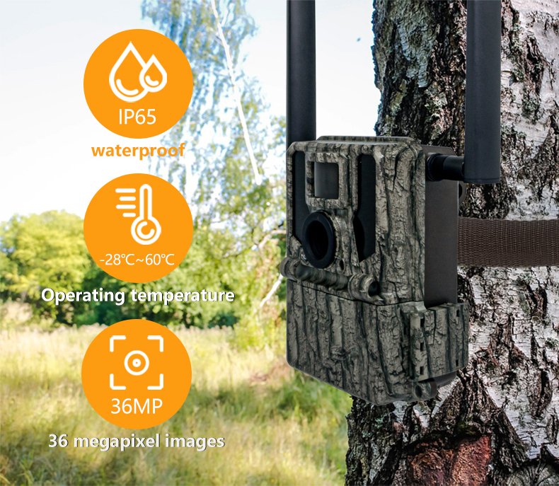 4g Dual Antenna Night Vision Game Camera For Hunting, High Quality 4g ...