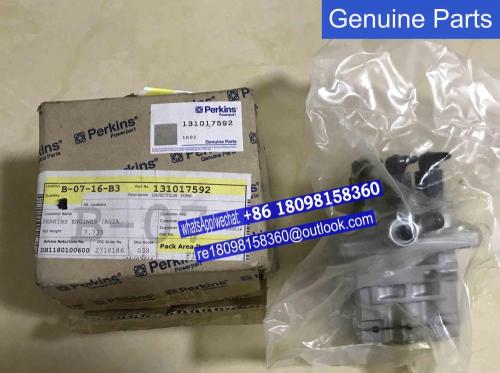 131017592 Fuel Injection For Perkins Engine 403 Series Genuine Parts/3 ...
