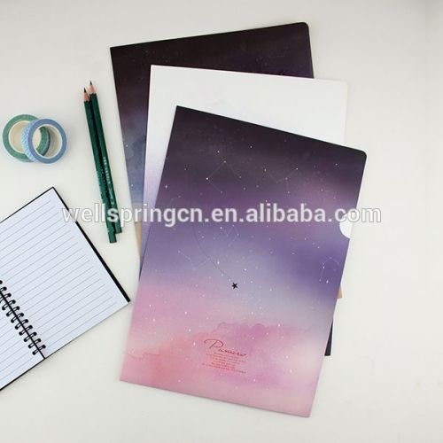 Xg-50014 Plastic File Folder Laminated File Folder A3 Size File Folder ...