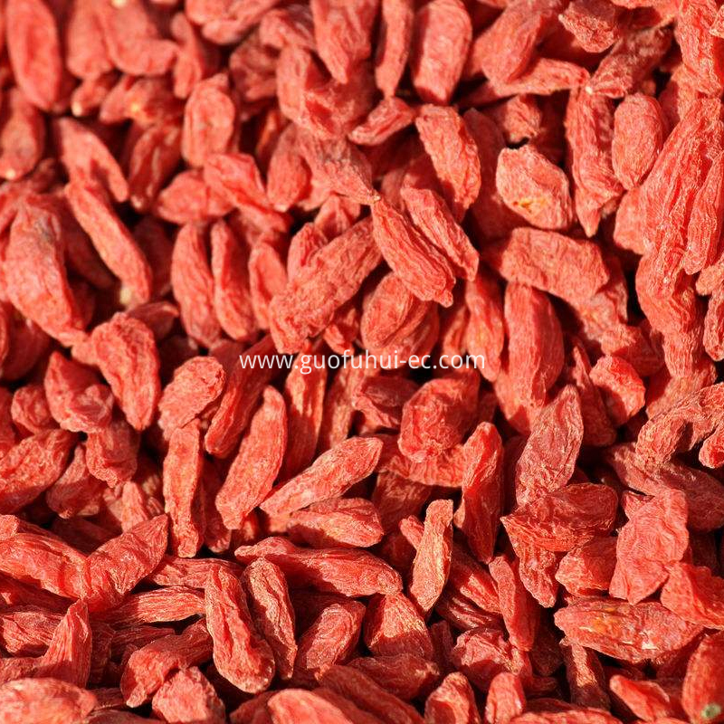 China Red Goji Berry 200 Specifications,Top Grade Goji Berry,Bulk Dried ...
