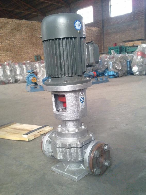 Vertical High Temperature Hot Oil Circulation Pump, High Quality ...