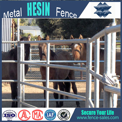 Contour Fencing, High Quality Contour Fencing on Bossgoo.com