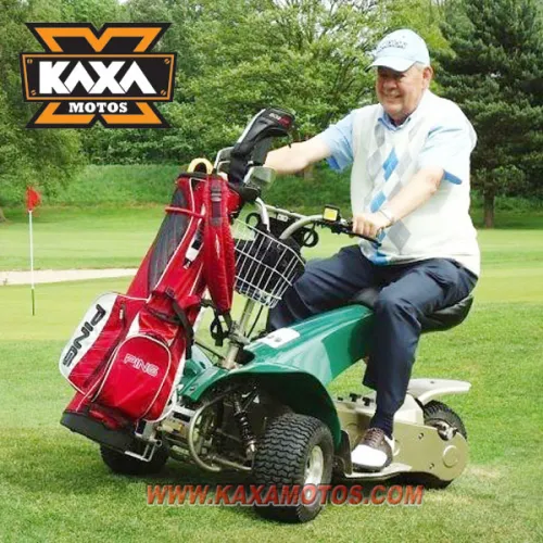 1000w Single Seat Electric Golf Cart, High Quality 1000w Single Seat ...