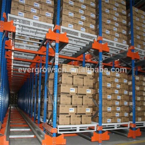 Evergrows Warehouse Shuttle Racking System Shelving Rack, High Quality ...