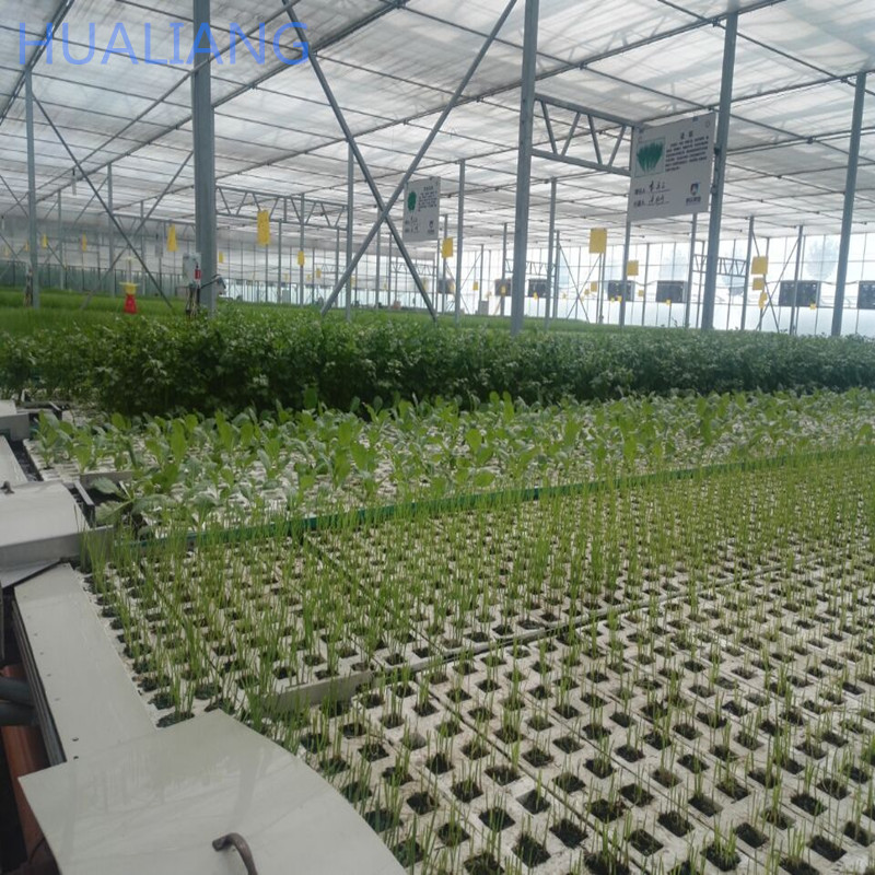 Dft Floating Hydroponics System For Agricultural Cultivation Of Tomato ...