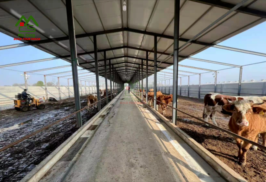Modern Steel Structure Carport And Goat/sheep Hutch With Sandwich Panel ...