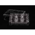 TC-Treated 6 well Cell Culture Plates China Manufacturers Suppliers ...
