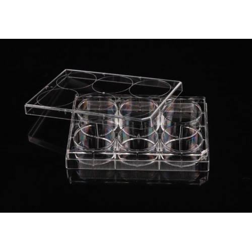 TC-Treated 6 well Cell Culture Plates China Manufacturers Suppliers ...