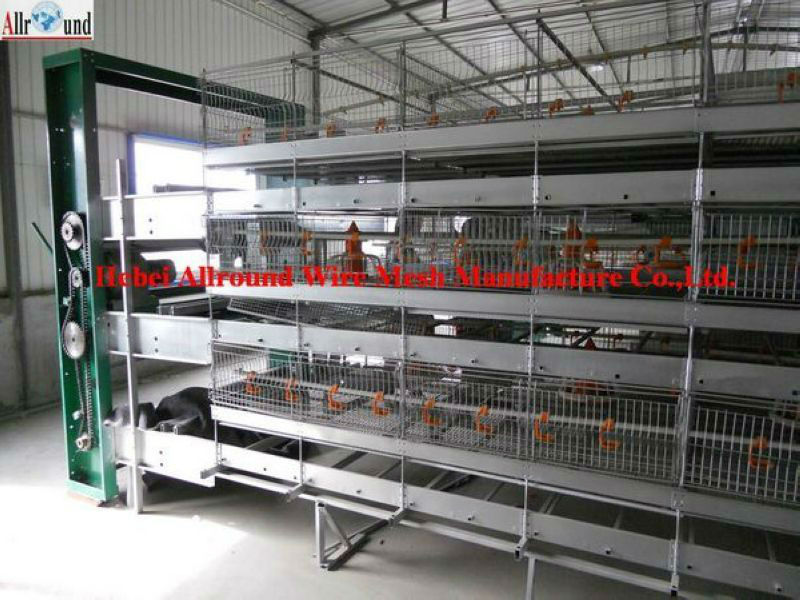 Automatic Broiler Cage For Poultry Farming Cage , High Quality ...