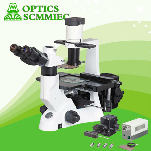 Sc-nib100f Infinite Inverted Fluorescence Phase Contrast Biological ...