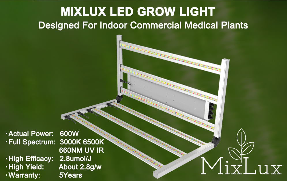 600w Led 등가는 무엇입니까?, Bossgoo.com의 고품질 600w Led 등가는 무엇입니까?