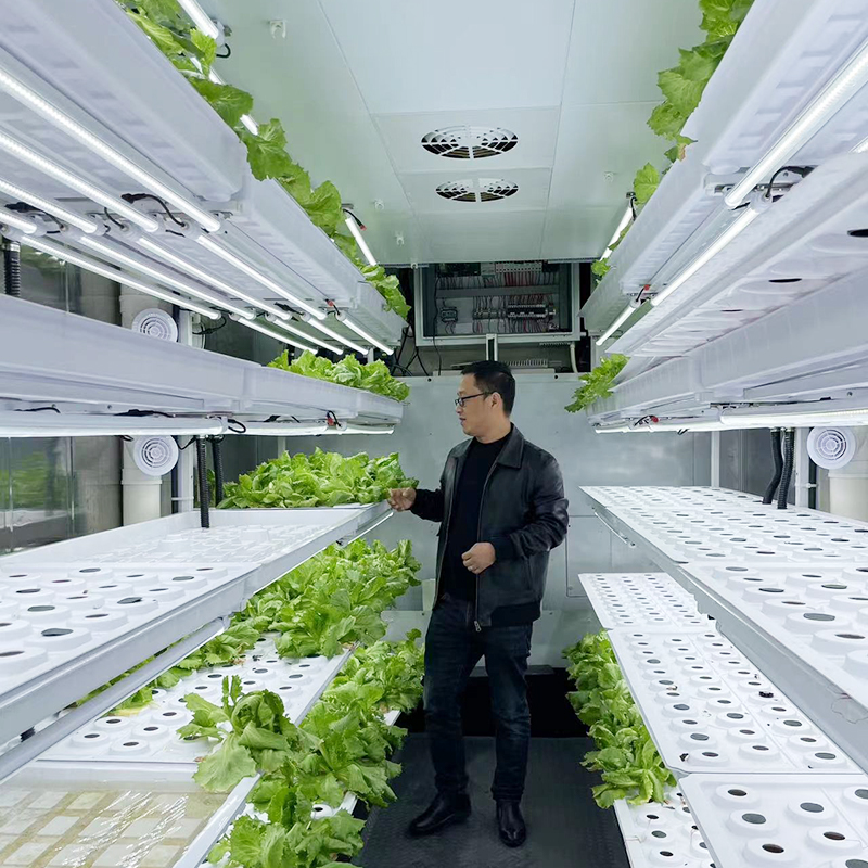 "Vertical Farms" in Containers: Cracking the "Spatial Code" of Urban ...