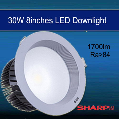 Ultra Bright 30w 8 Inch Led Downlight Ip44 (d1a26wy), High Quality ...