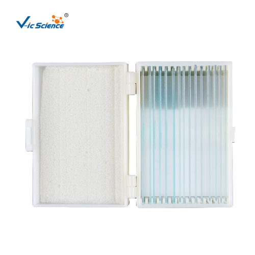 Microbiology Microscope Prepared Slides, High Quality Microbiology ...