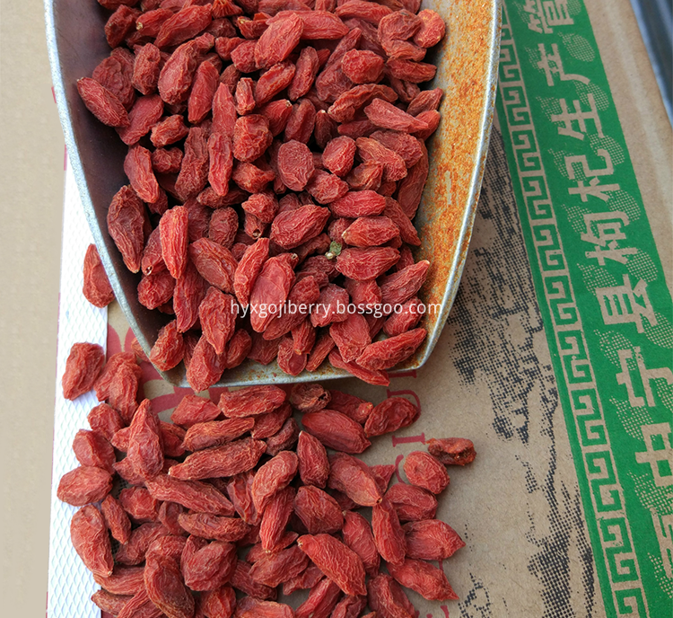 Goji Berries Nutritional Information, High Quality Goji Berries ...