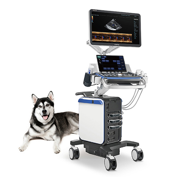 Hot Sell: Mindray Vetus 8 Veterinary Color Doppler Ultrasound System ...
