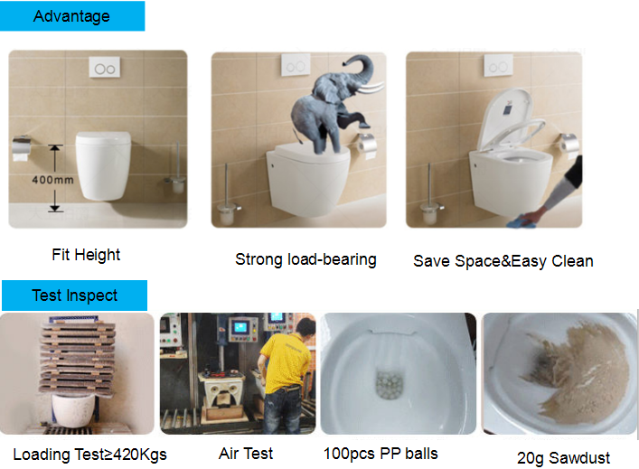 Competitive Wall Hung Toilet Bowl With Washdown System, High Quality ...