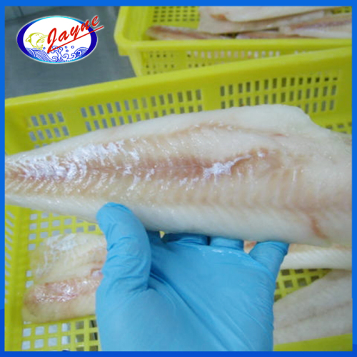 Delicious Iqf Pollock Fish , Frozen Iqf Pollock Fish, High Quality ...