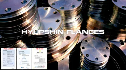 Din2527 Blind Blff Flange Blank Flange, High Quality Din2527 Blind Blff ...