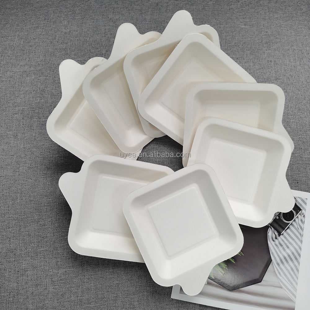 Disposable Compostable Sugarcane Bagasse Food Tray Cake, High Quality ...