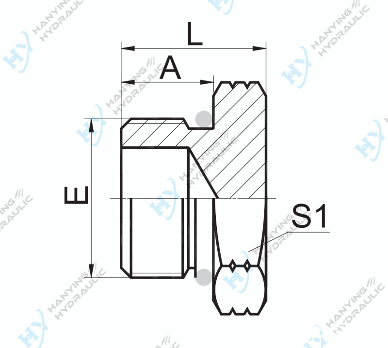Hydraulic SAE O-Ring Boss Plug China Manufacturer