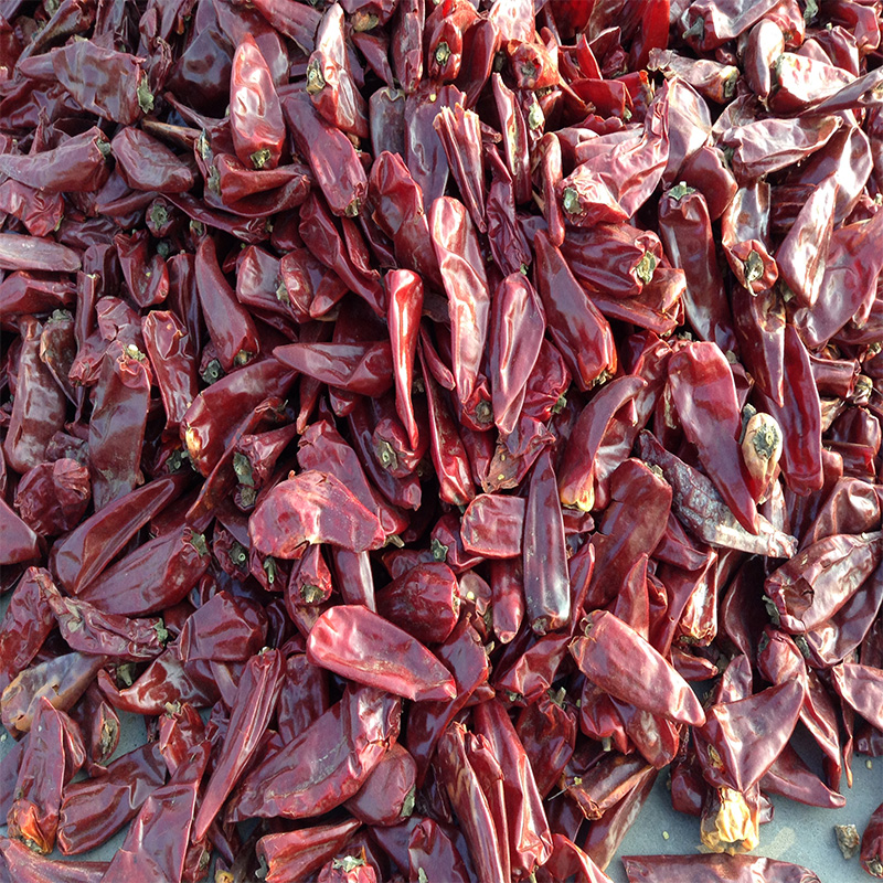 Hot Chilli Cut Stem Yidu Chilli, High Quality Hot Chilli Cut Stem Yidu ...