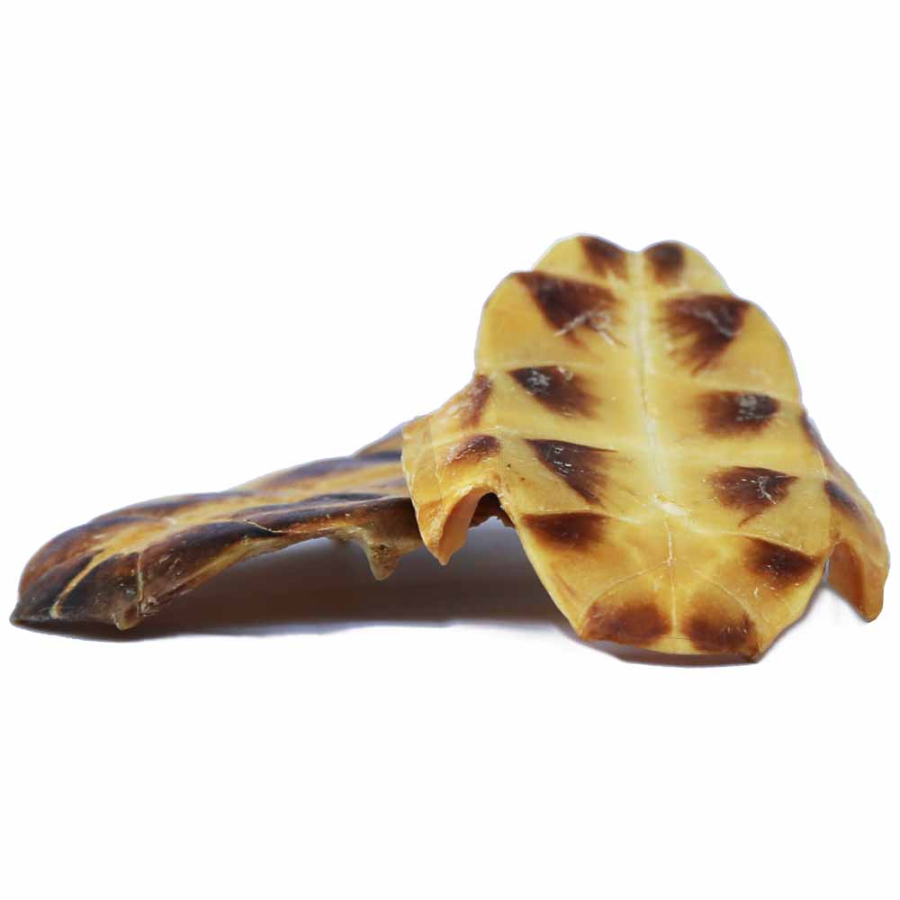 보충 건강 관리 거북이 껍질 추출물 분말 10 : 1, Bossgoo.com의 고품질 보충 건강 관리 거북이 껍질 추출물 분말 ...