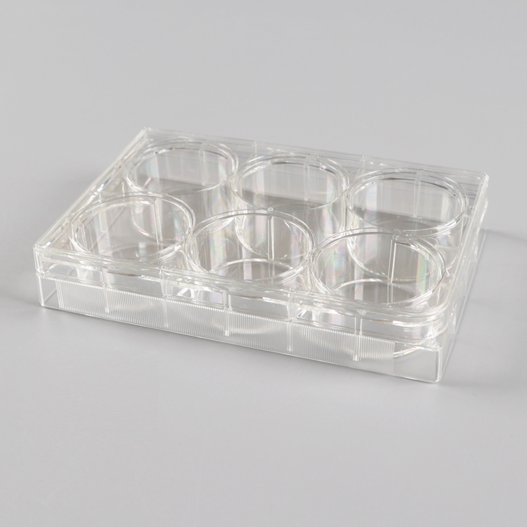 sterile 6 well plate for cell culture China Manufacturers Suppliers ...