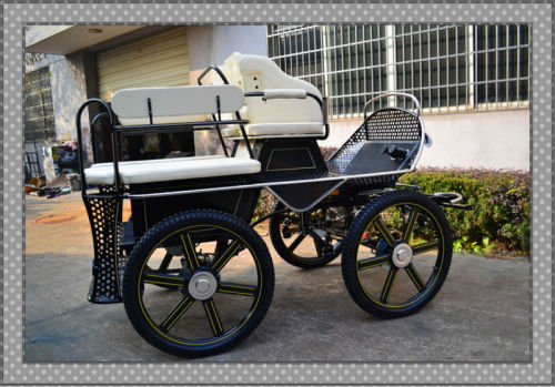 Marathon Carriage With Stainless Steel Frame, Royal Seat, Horse ...