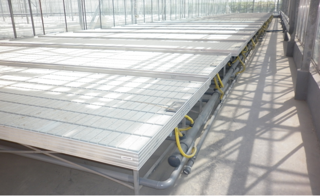 Greenhouse Tidal Seedbed Seed Bench, High Quality Greenhouse Tidal ...