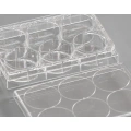 Non-Treated 6 well Cell Culture Plates China Manufacturers Suppliers ...