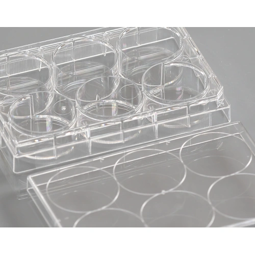 Non-Treated 6 well Cell Culture Plates China Manufacturers Suppliers ...