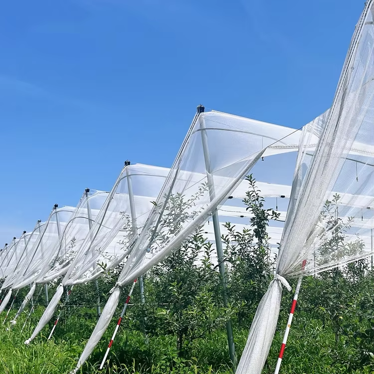 H.d.p.e. Anti-uv High-strength Fruit Tree Crop Protection Anti-hail Net ...
