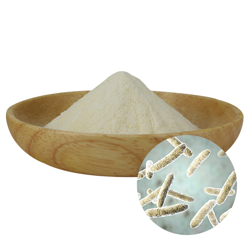 Probiotic Lactobacillus Rhamnosus Powder Probiotics, High Quality ...