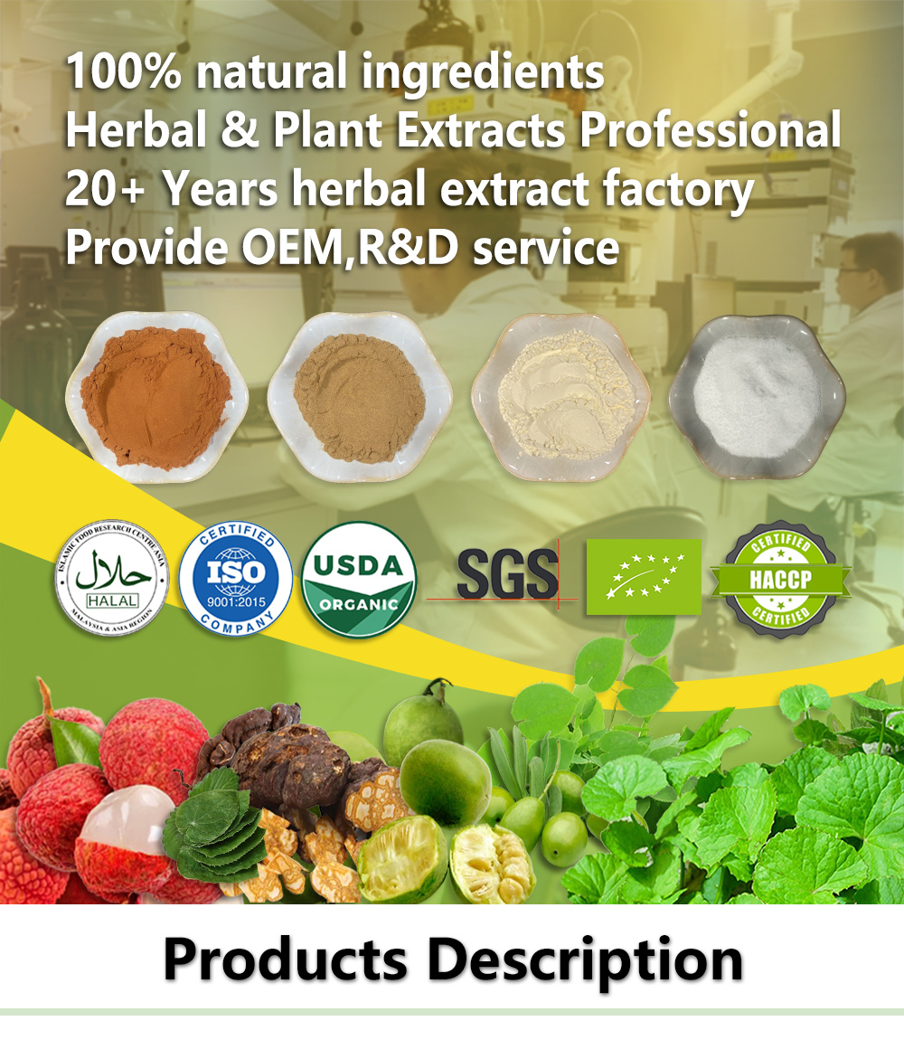 2023 가이드 : Centella Asiatica (gotu Kola) 중국의 Hydrocotyle Asiatica 추출물 ...