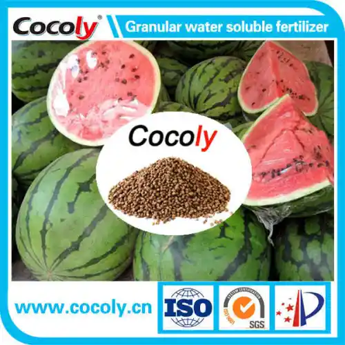Cocoly Fully Water-soluble Npk Compound Fertilizer With Chelated ...