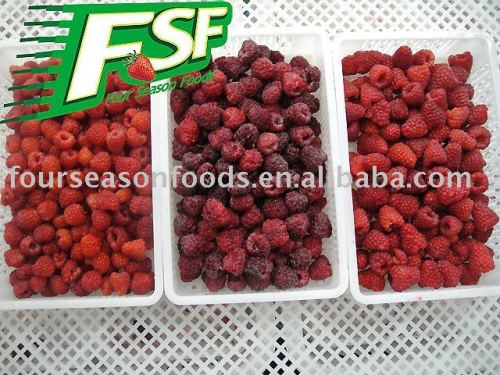Iqf Rfrozen & Fresh Raspberry Grade A , Grade B, High Quality Iqf ...
