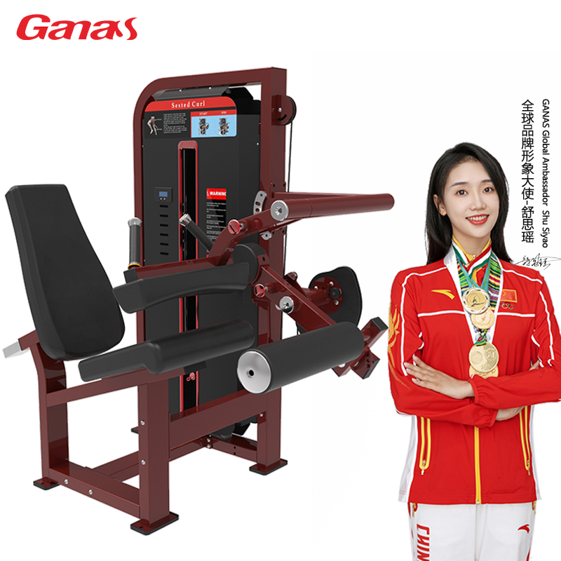 Premium Commercial Seated Leg Curl Machine Buying Guide: Features ...