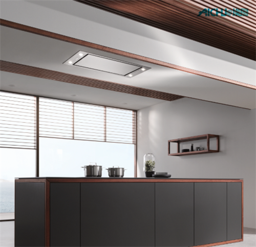 Ceiling Extractors For Kitchen In Uk, High Quality Ceiling Extractors ...