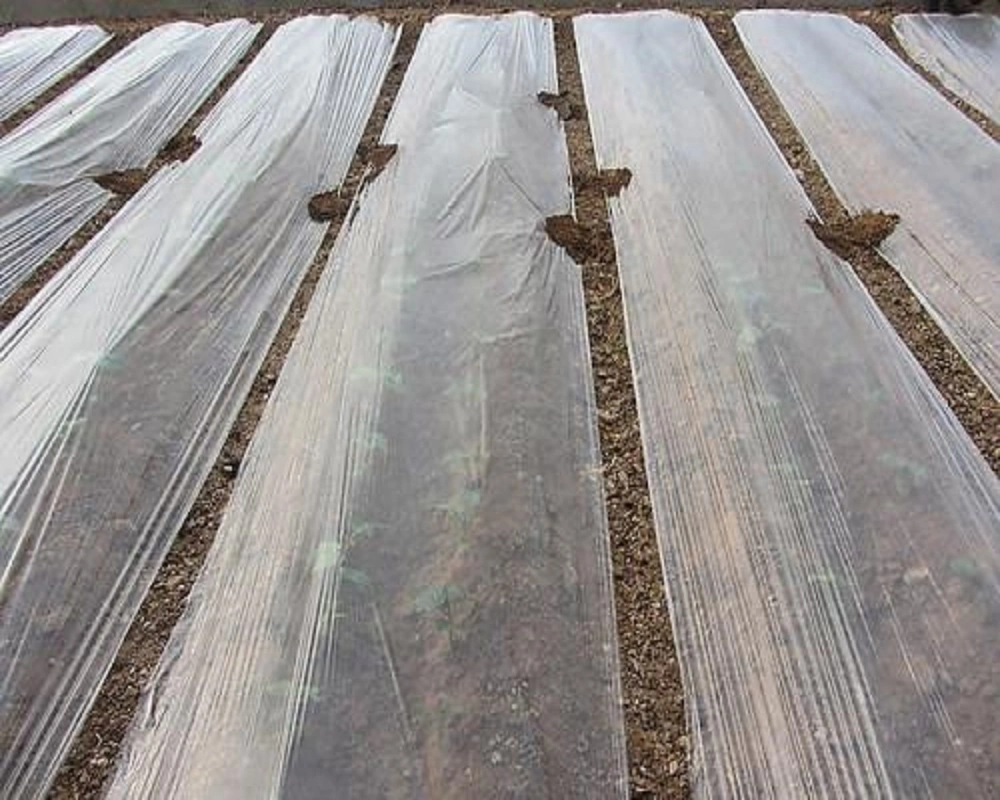 White Mulch Clear Mulching Film Transparent Mulch Film, High Quality ...