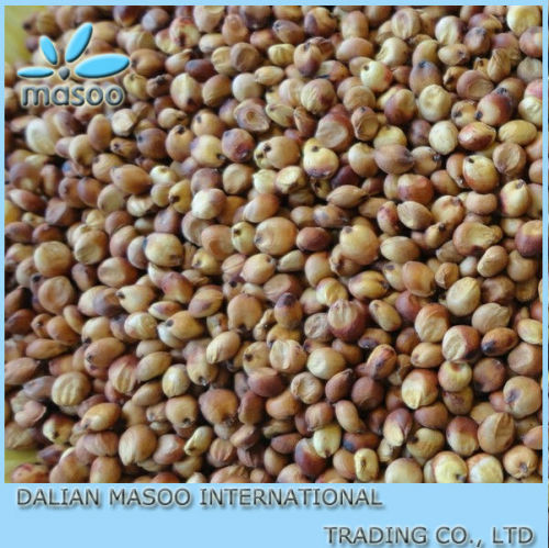 Grain Sorghum Red Color For Sale, High Quality Grain Sorghum Red Color ...