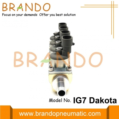 4 Cylinder LPG CNG IG7 Dakota Injector Rail China Manufacturers ...