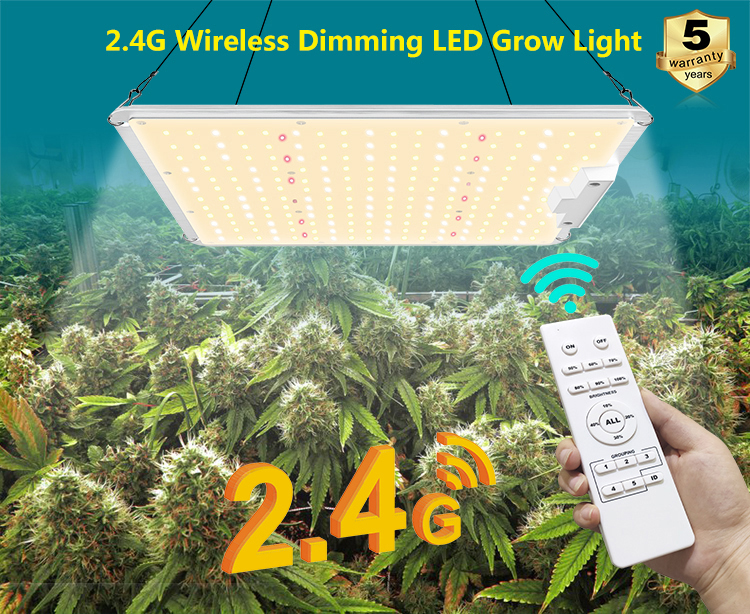 Bloom Veg High Par Smart Led Grow Light คุณภาพสูง Bloom Veg High Par ...