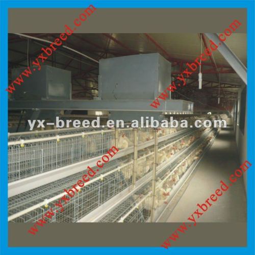 Hot Sale Broiler Chicken Coop, High Quality Hot Sale Broiler Chicken ...