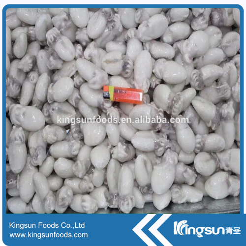 Natural Frozen Fresh Cuttlefish Whole Round, High Quality Natural ...