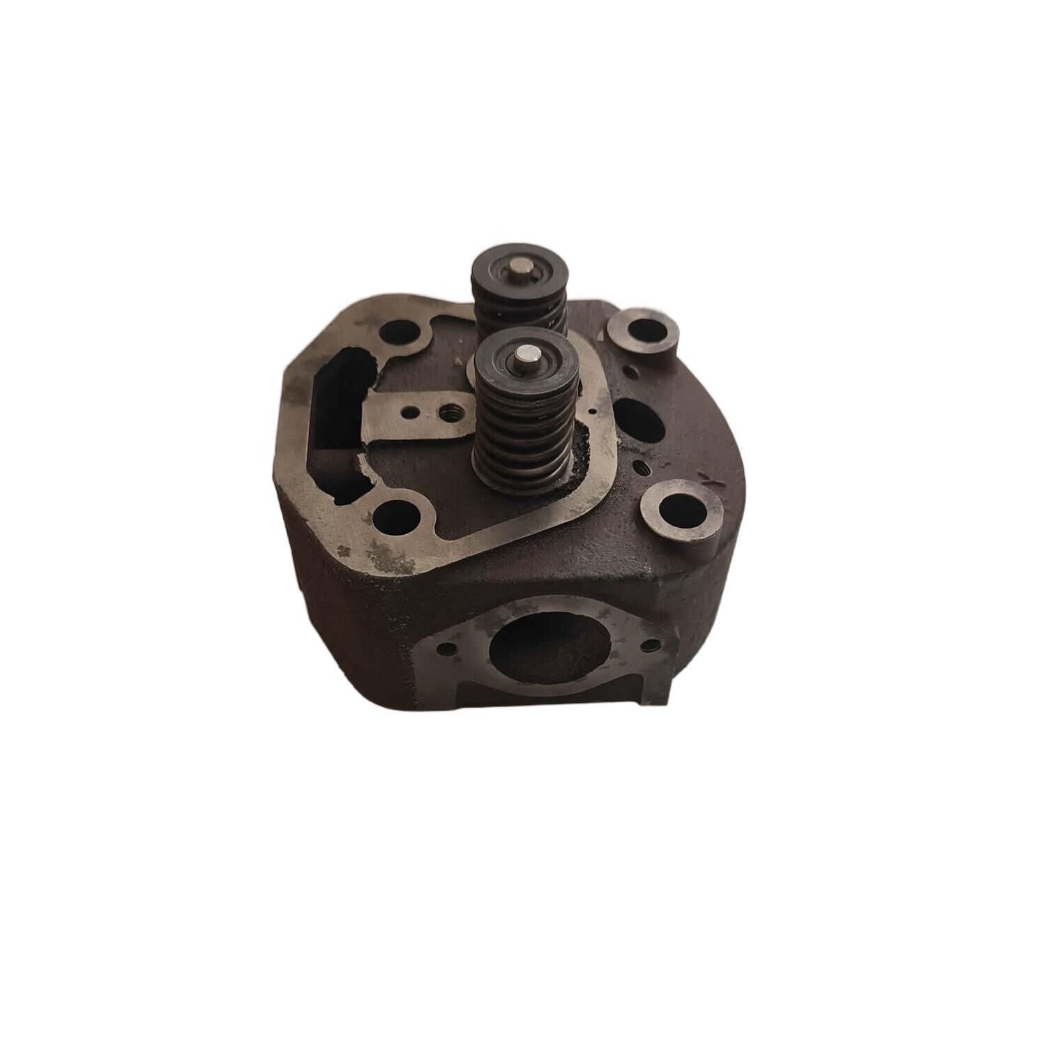 Cylinder Head Assy. With Springs And Valves For Zh185/zh190/zh192 Water ...
