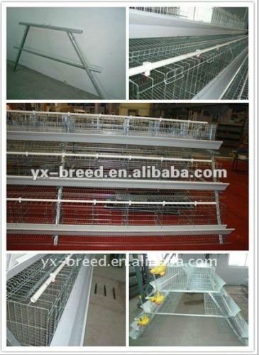 Poultry Farm Design Layout For Chicken House, High Quality Poultry Farm ...