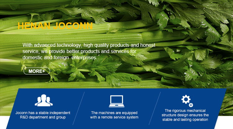 Stainless Steel Celery Leaf Picker & Deleafing Machine, High Quality ...