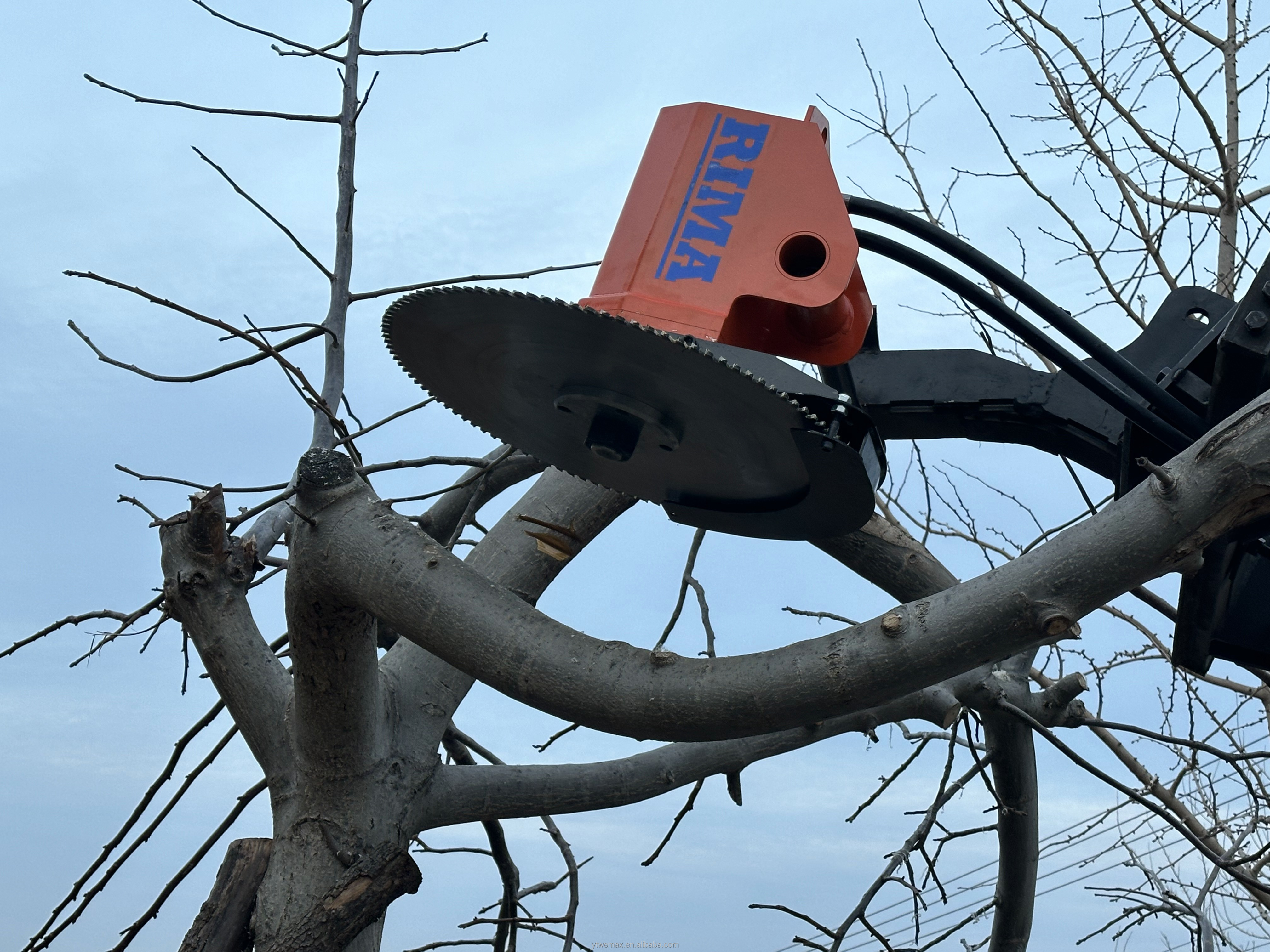 3-8 Ton Excavator Saw Head For Branch Pruning And Log Cutting - 600nm ...