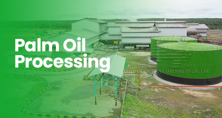 Palm Oil Production Line: Cooking Oil Pressing And Processing Line ...